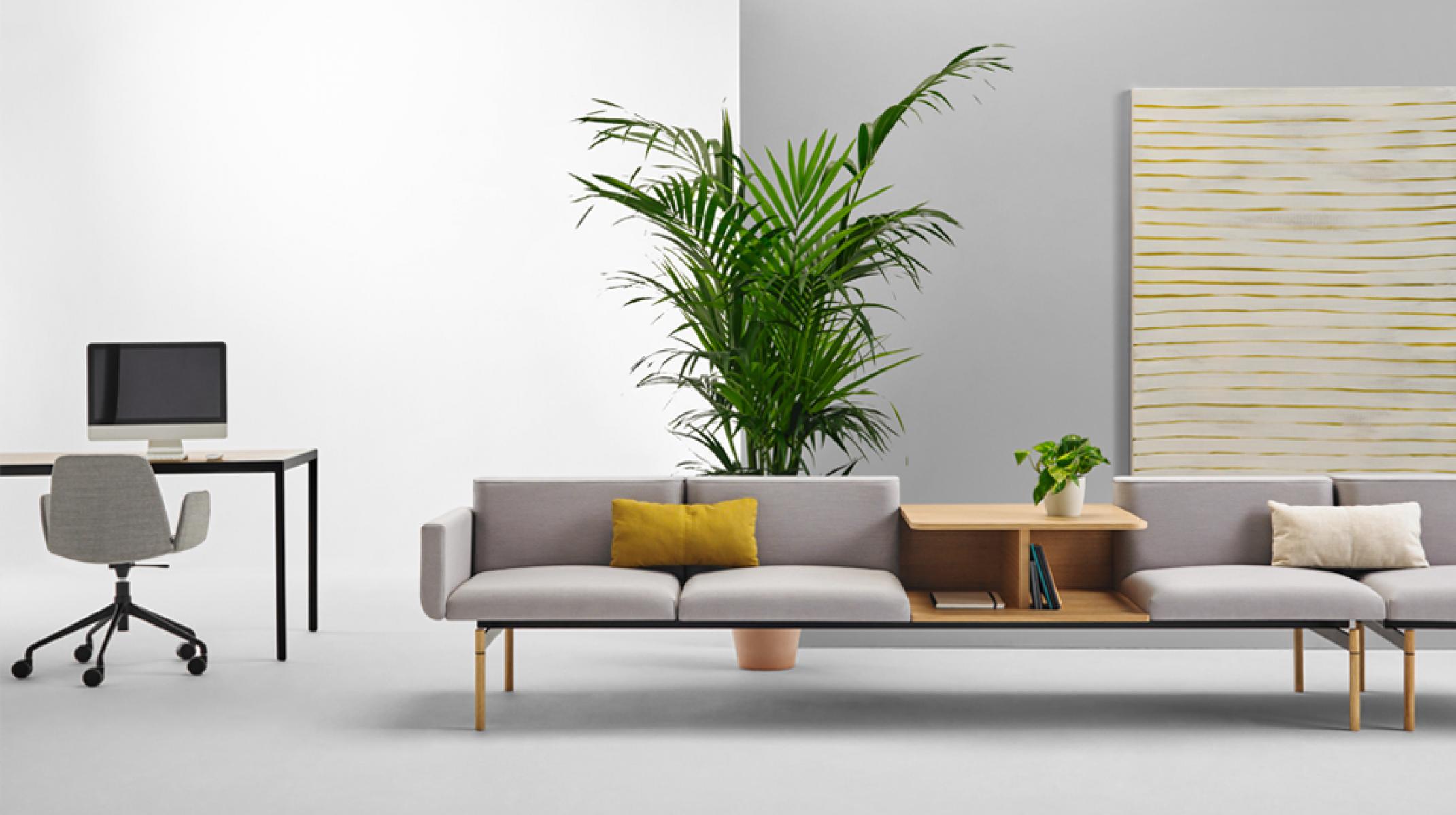 Modern Reception Sofas for Visitors and Guests | MSL Interiors